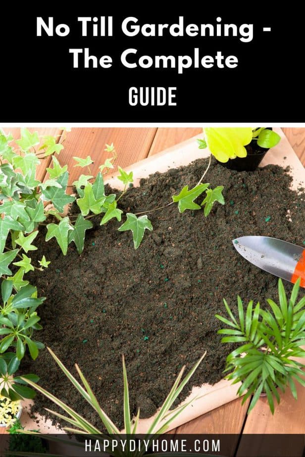 No Till Gardening Guide - How to Create a No Dig Garden | Happy DIY Home