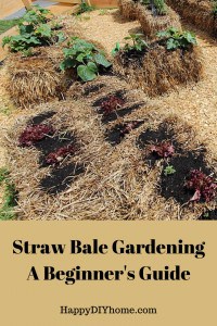 Straw Bale Gardening - A Beginner’s Guide | Happy DIY Home