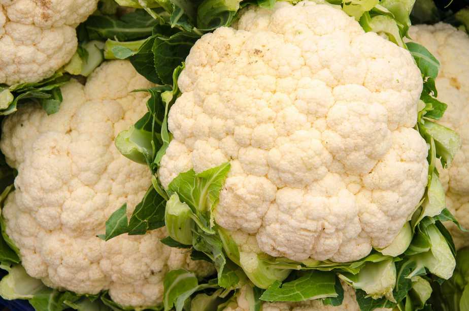 The Ultimate Guide to Growing Cauliflower | Happy DIY Home