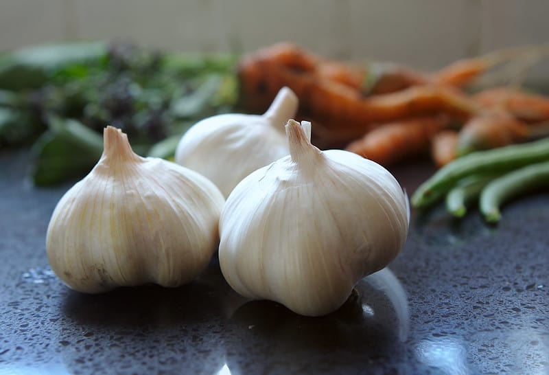 List of Herbs to Grow and for Seasoning Your Dishes | Happy DIY Home