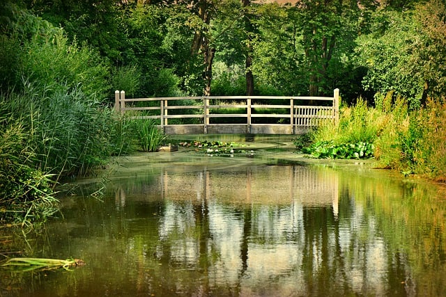 85 Beautiful Backyard and Pond Design Ideas | Happy DIY Home