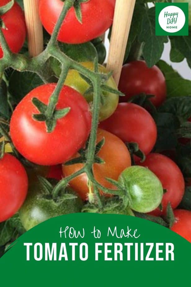 How to Make Your Own Tomato Fertilizer | Happy DIY Home