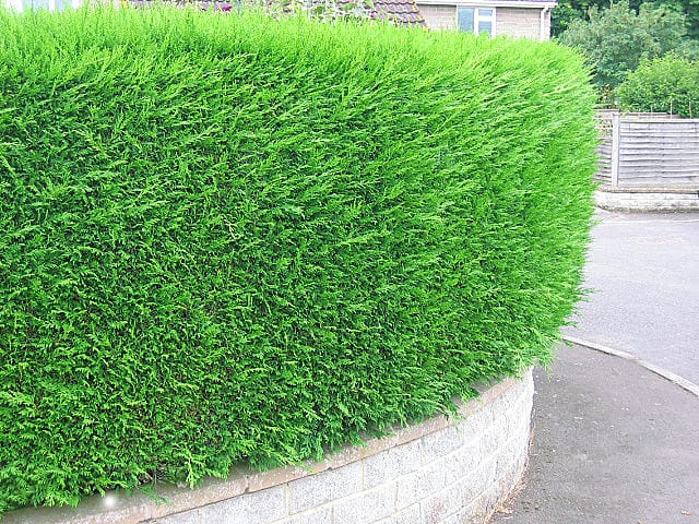 20 Clever Retaining Wall Ideas to Prevent Soil Erosion | Happy DIY Home