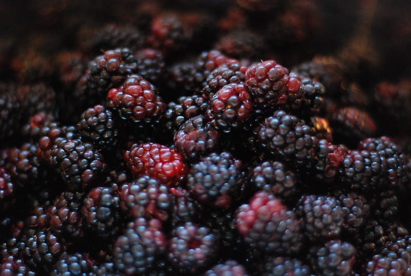 25 Types of Berries - Berry Types You Can Eat | Happy DIY Home