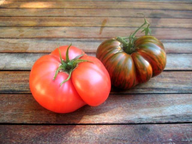 15 Best Tomatoes and Best Tomato Varieties for Your Container Garden ...