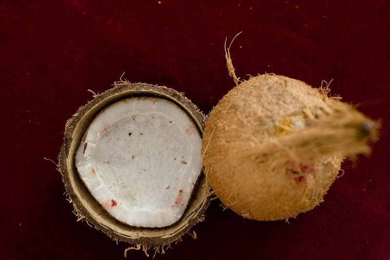 16 Types of Coconuts and How to Use Them - Happy DIY Home